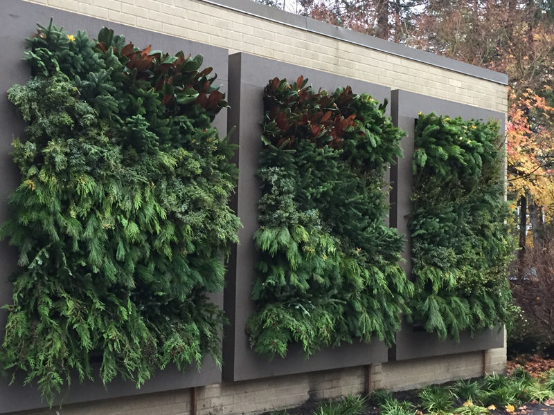Green wall with live plants - CUT GREENS FOR CHRISTMAS - LiveWall ...