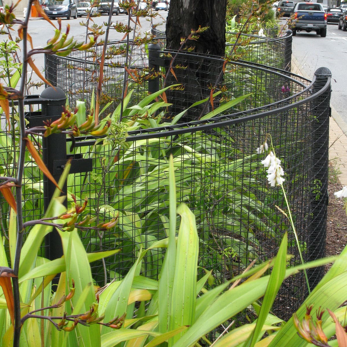 Green wall with live plants - greenscreen - curved / natural / outdoor