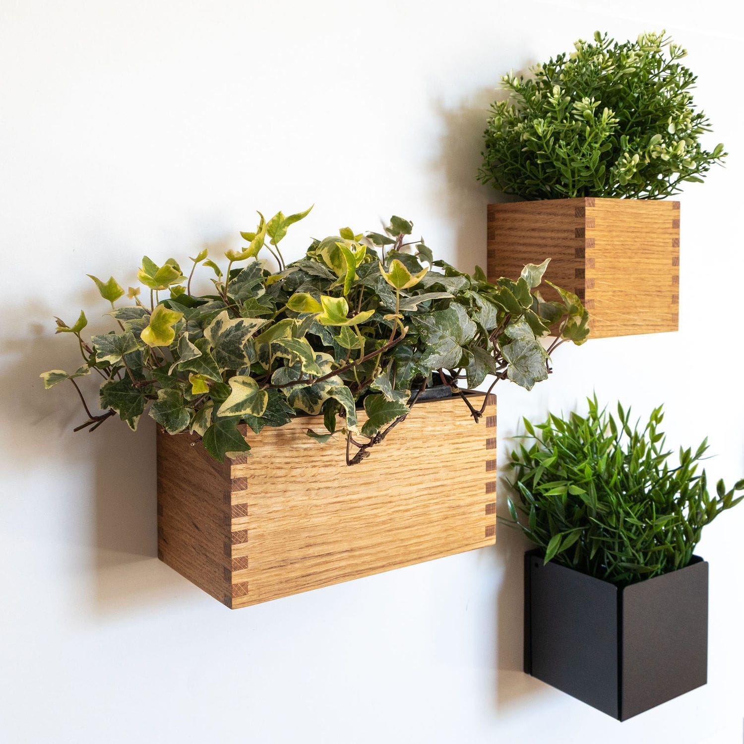 Oak flower pot - Box J • Big • basic - 3S design - wall-mounted ...