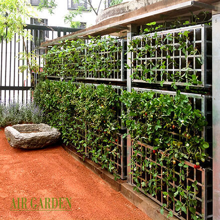 Green wall trellis - AG3 POSTMUR-POSTDIV - AIR GARDEN - painted metal