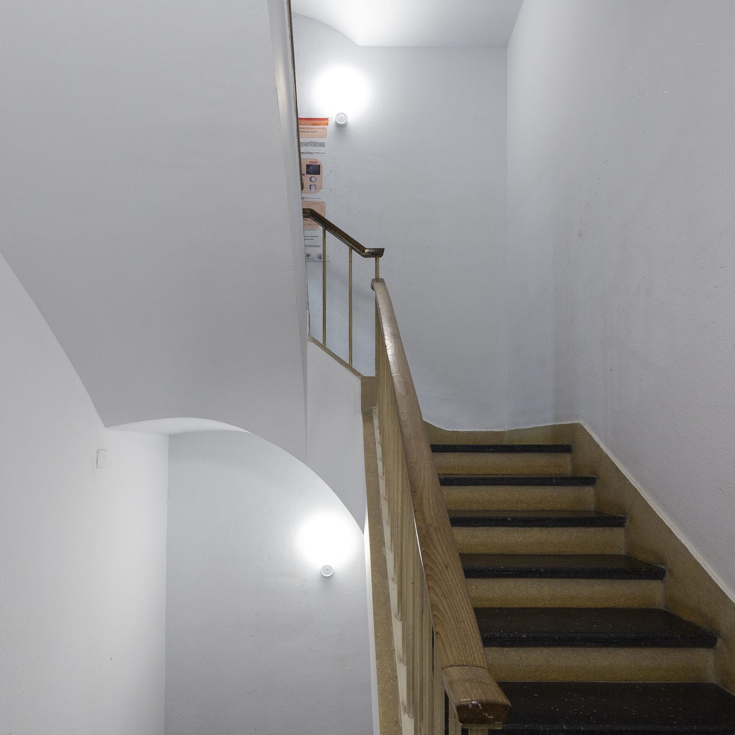 Surface-mounted light fixture - COMPACT - Ledvance - LED / round / IP65