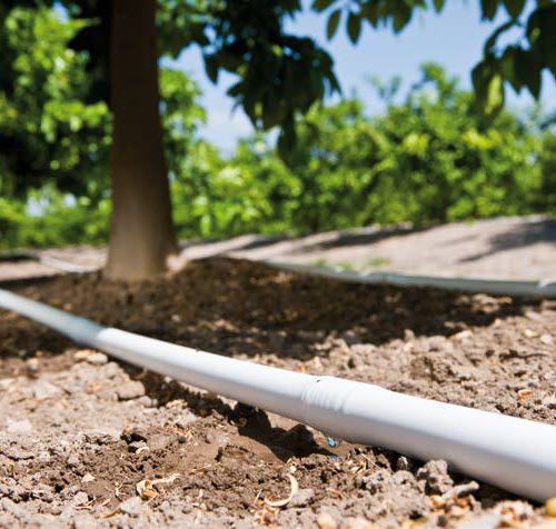 Drip hose - PC/PCND - Rivulis - plastic / with drip emitter / flow ...