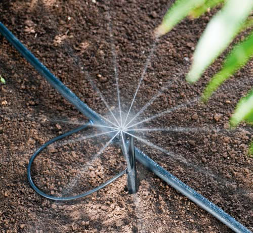 Flow-regulated micro sprinkler - TORNADO RAY JET - Rivulis