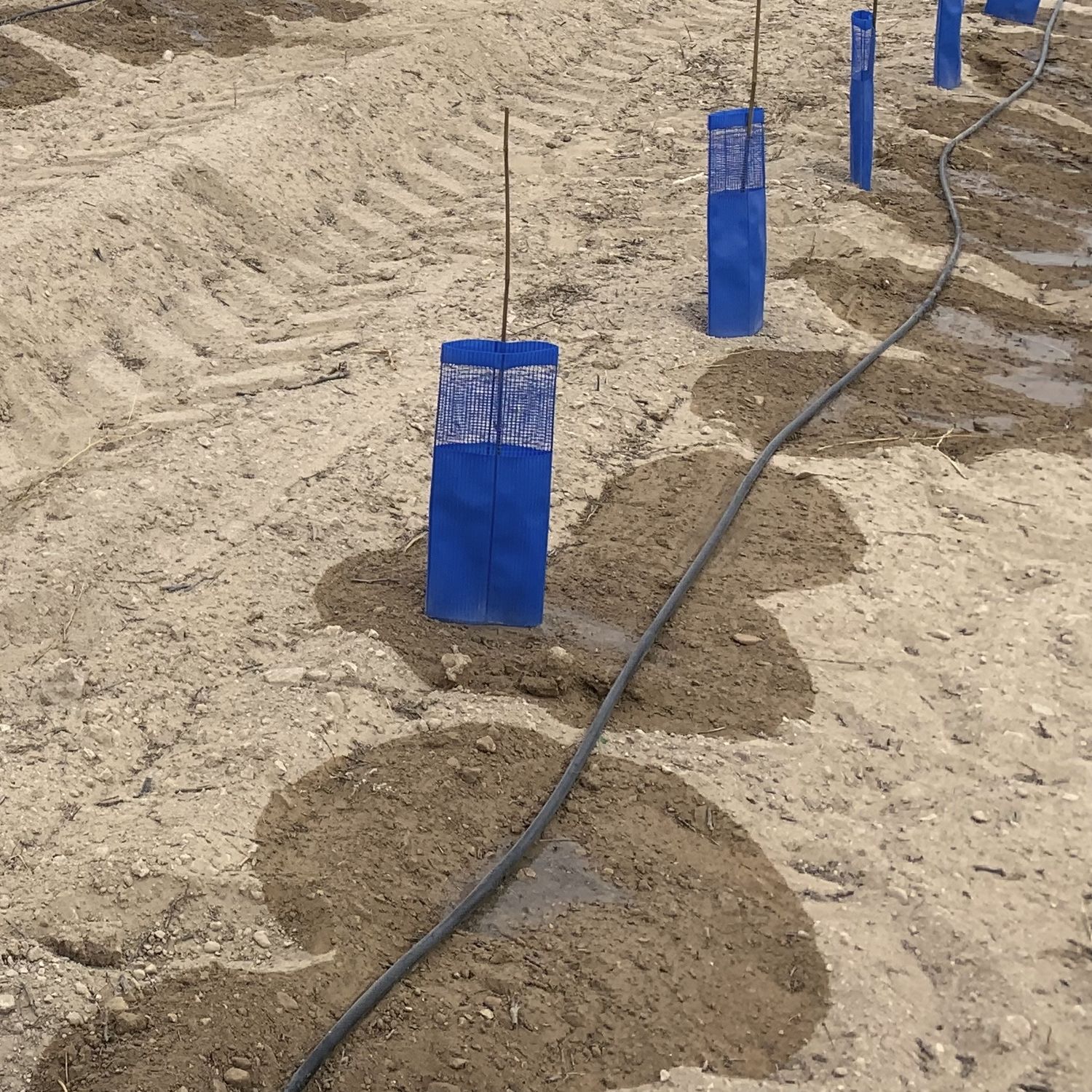 Irrigation hose - PC SYSTEM - AZUD - plastic / with drip emitter ...