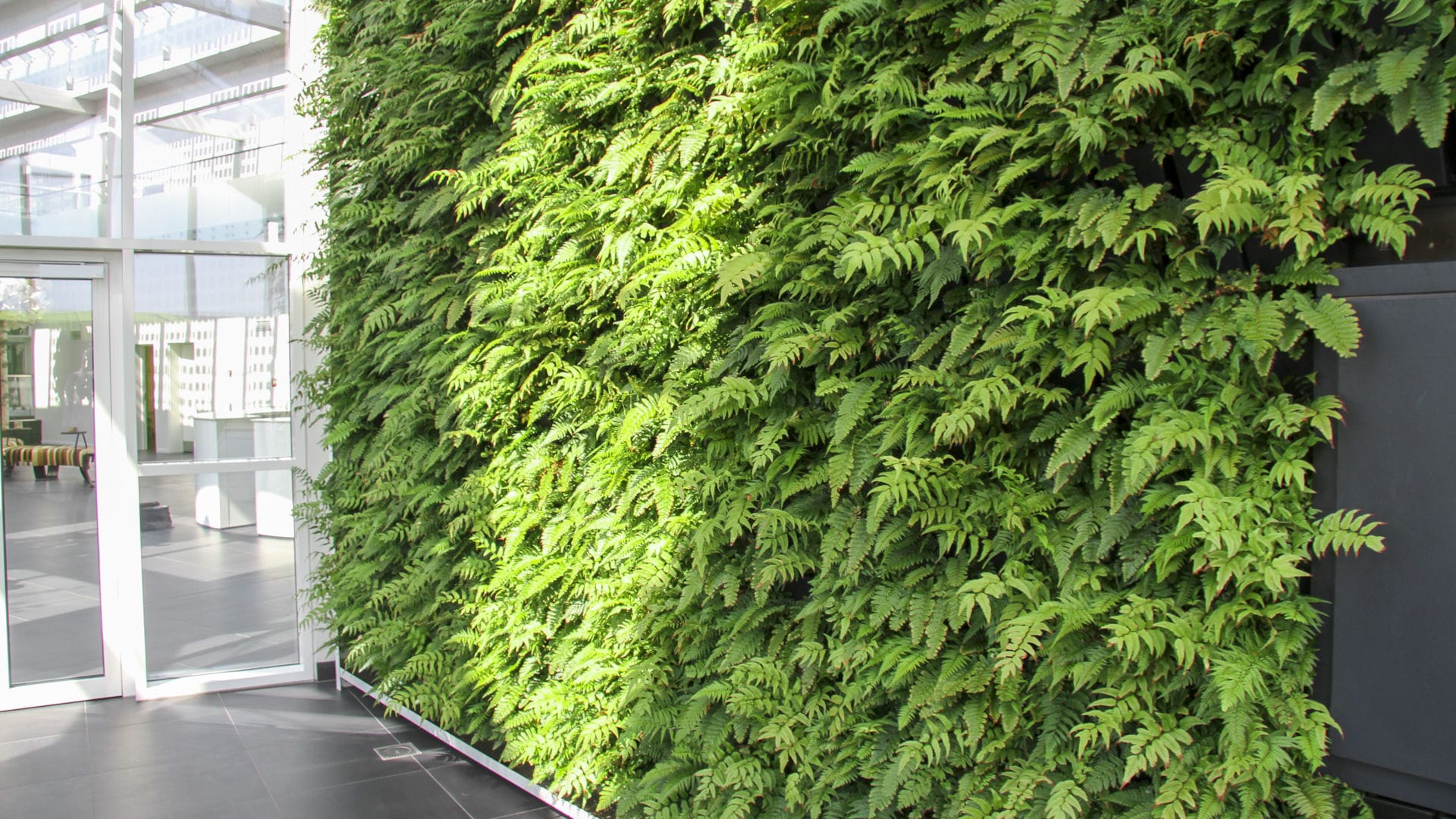 Preserved green wall - Natural Greenwalls - with live plants / modular ...