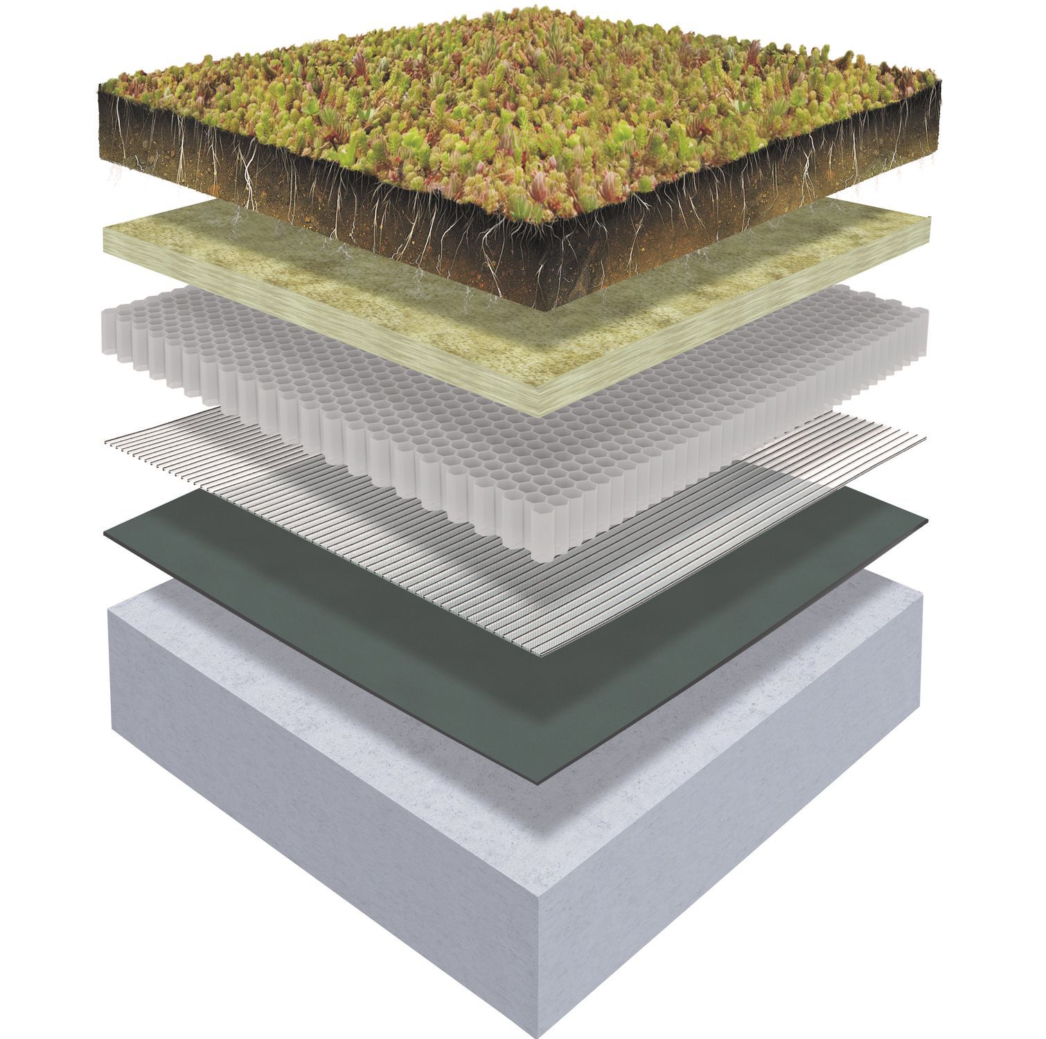 Extensive green roof system - Detention - Urbanscape - semi-intensive ...