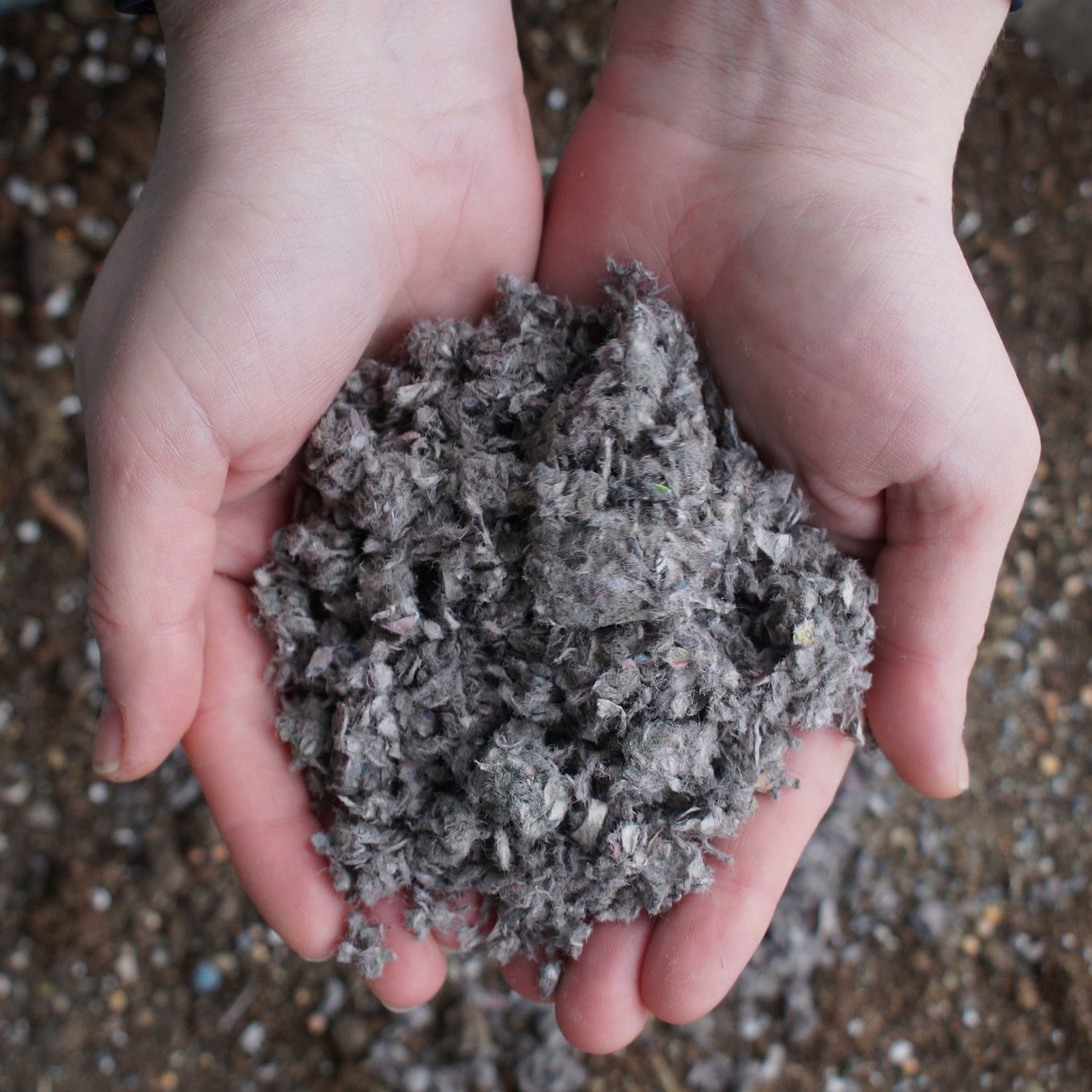 Cellulose fiber growing medium - PERFORMANCE - PittMoss LLC - loose ...