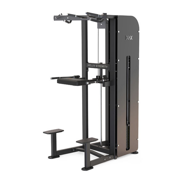 Dips weight training machine - ASSIST CHIN - Drax Inc.