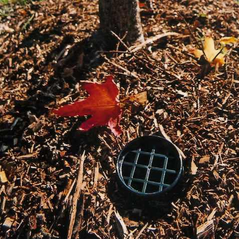 Tree irrigation system - ROOTRAIN - GreenBlue Urban Ltd - floor / for ...