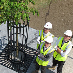 Metal tree guard - ULLSWATER - GreenBlue Urban Ltd