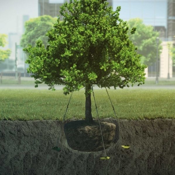 Cable tree anchoring - Ancrest - guy wire system