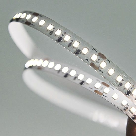 LED strip light - DS8160-24V-10MM - COLORS LIGHTING - IP20 / IP65