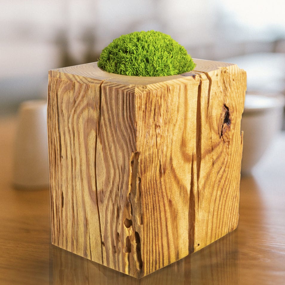 Contemporary vase - TOUCH ME Moss HEDGEHOG - MOOS MOOS MANUFAKTUR ...