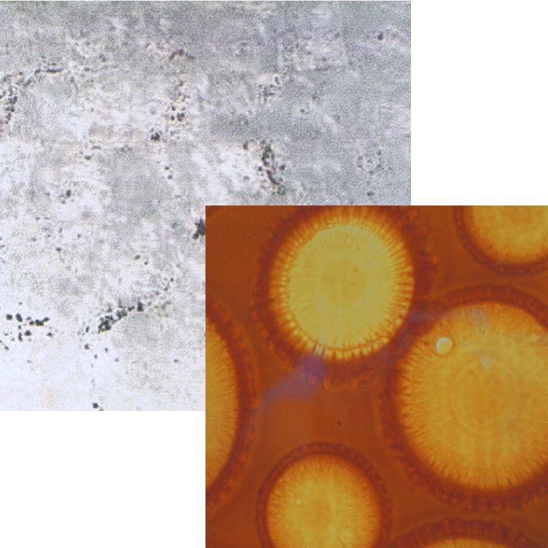 Tempered glass panel - Crystal & Ripple - Duco - patterned / colored ...