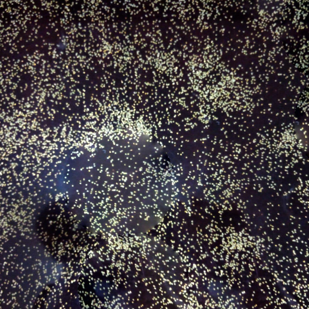 Tempered glass panel - Sprinkle - Duco - solar control / patterned ...