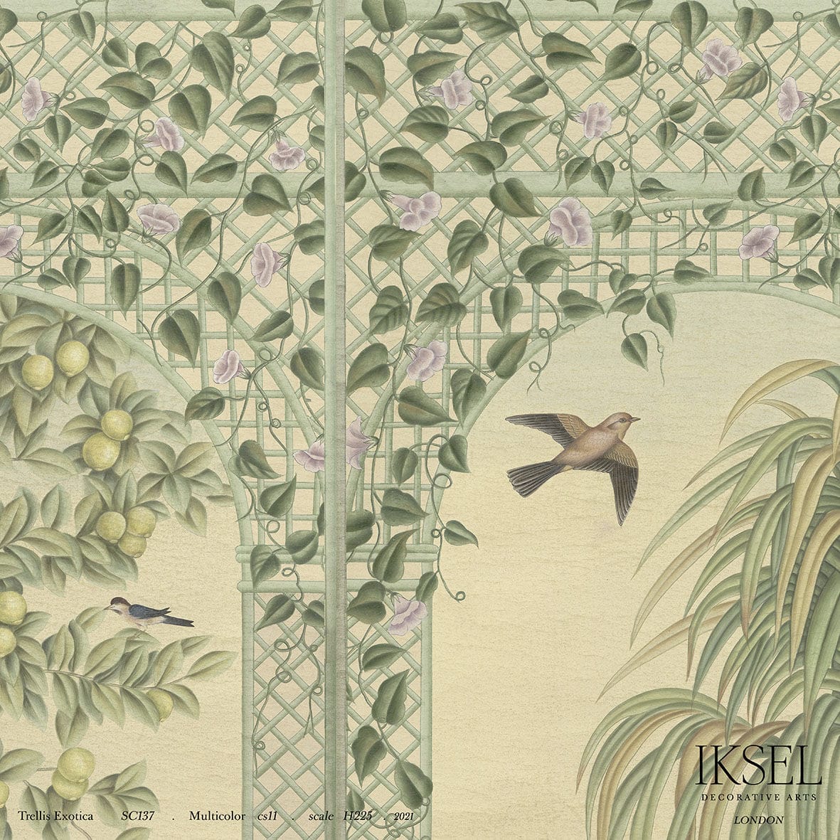 Contemporary wallpaper - SC137 Trellis Exotica - Iksel Decorative Arts ...