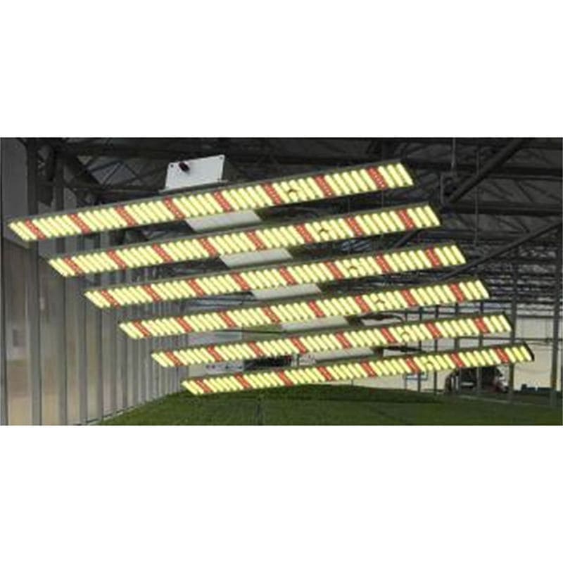 IP65 floodlight - LGLB - kindom opto-electronic co.,ltd - LED ...