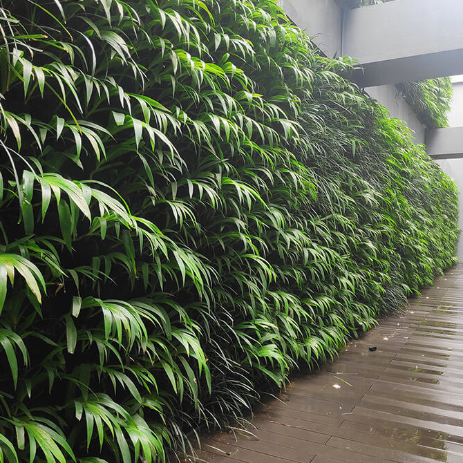 Vertical garden with live plants - SKYGROW - Skytech Engineering L.L.C ...