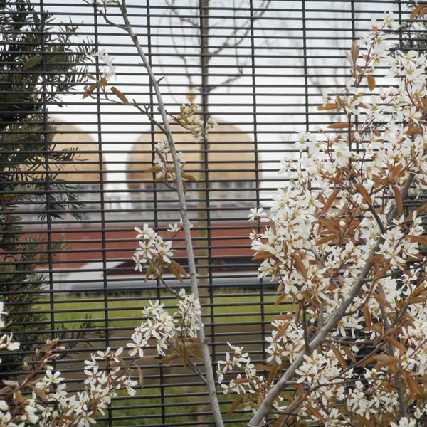 Welded mesh fencing - SECURIFOR 4D - Betafence International - for ...