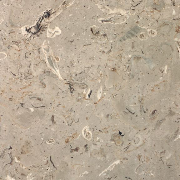 Marble stone slab - AURISINA FIORITA - Industria Marmi Ferrari Srl ...