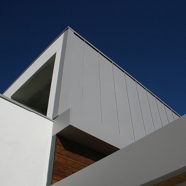 Strip cladding - DAL'ALU - aluminum / vertical / lacquered
