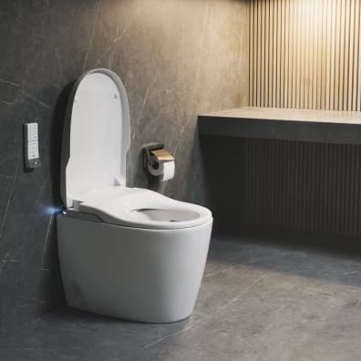 Smart WC - IN-WASH® INSIGNIA - ROCA - free-standing / back to wall ...