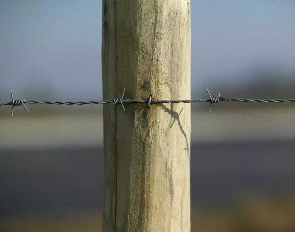 Barbed wire - PROTECTO® - DIRICKX