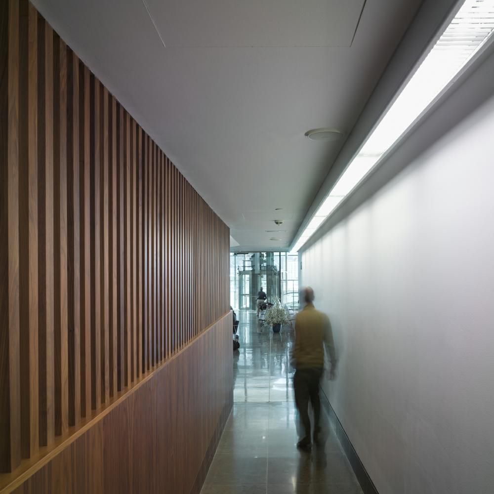 Hanging light fixture - LAMP LIGHTING - surface-mounted / LED / linear