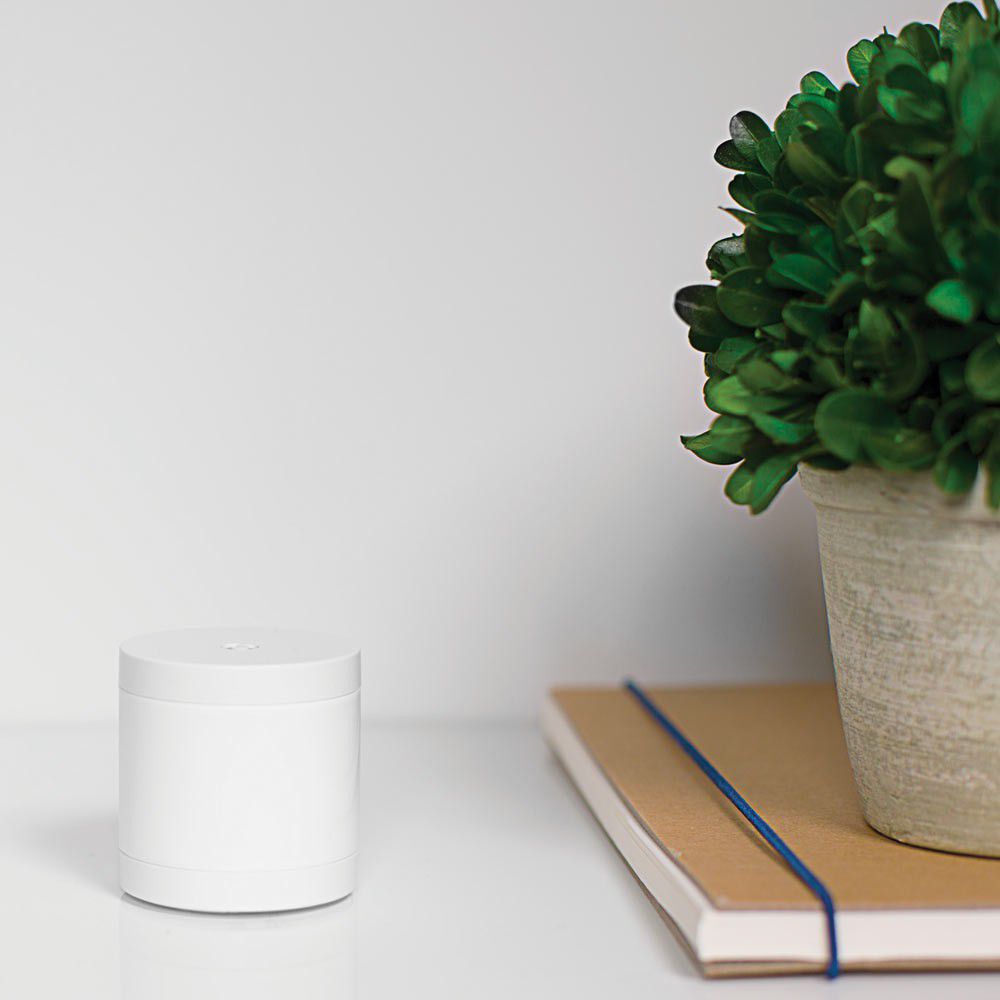 Temperature sensor - 2401490 - SOMFY - motion / presence / intrusion