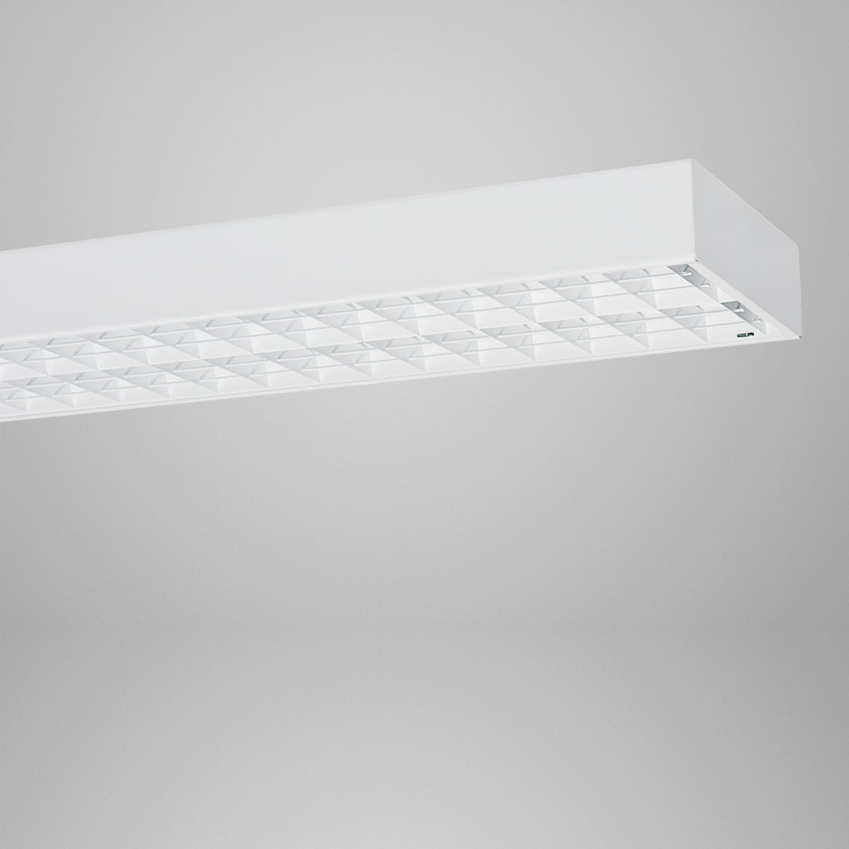 Surface-mounted light fixture - GYM 2 - REGENT LIGHTING - recessed ...