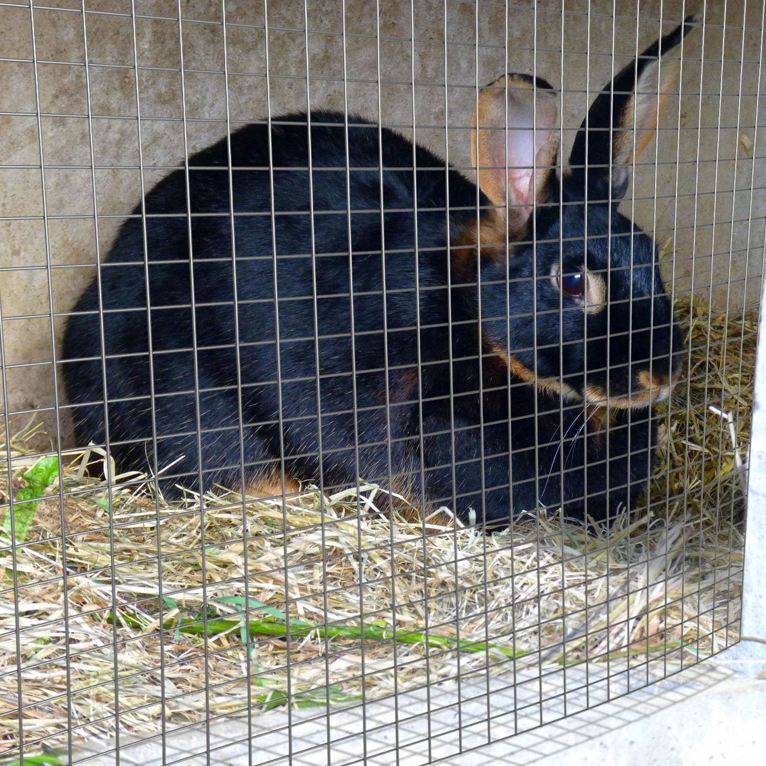 Fencing welded wire mesh - ELECTRO-WELDED MRT - Moreda Riviere ...