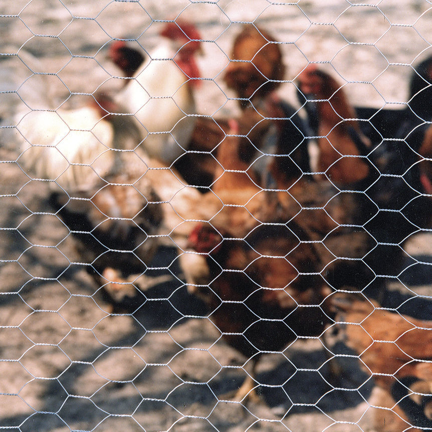 Galvanised steel wire mesh - TRIPLE TORSIÓN - Moreda Riviere ...