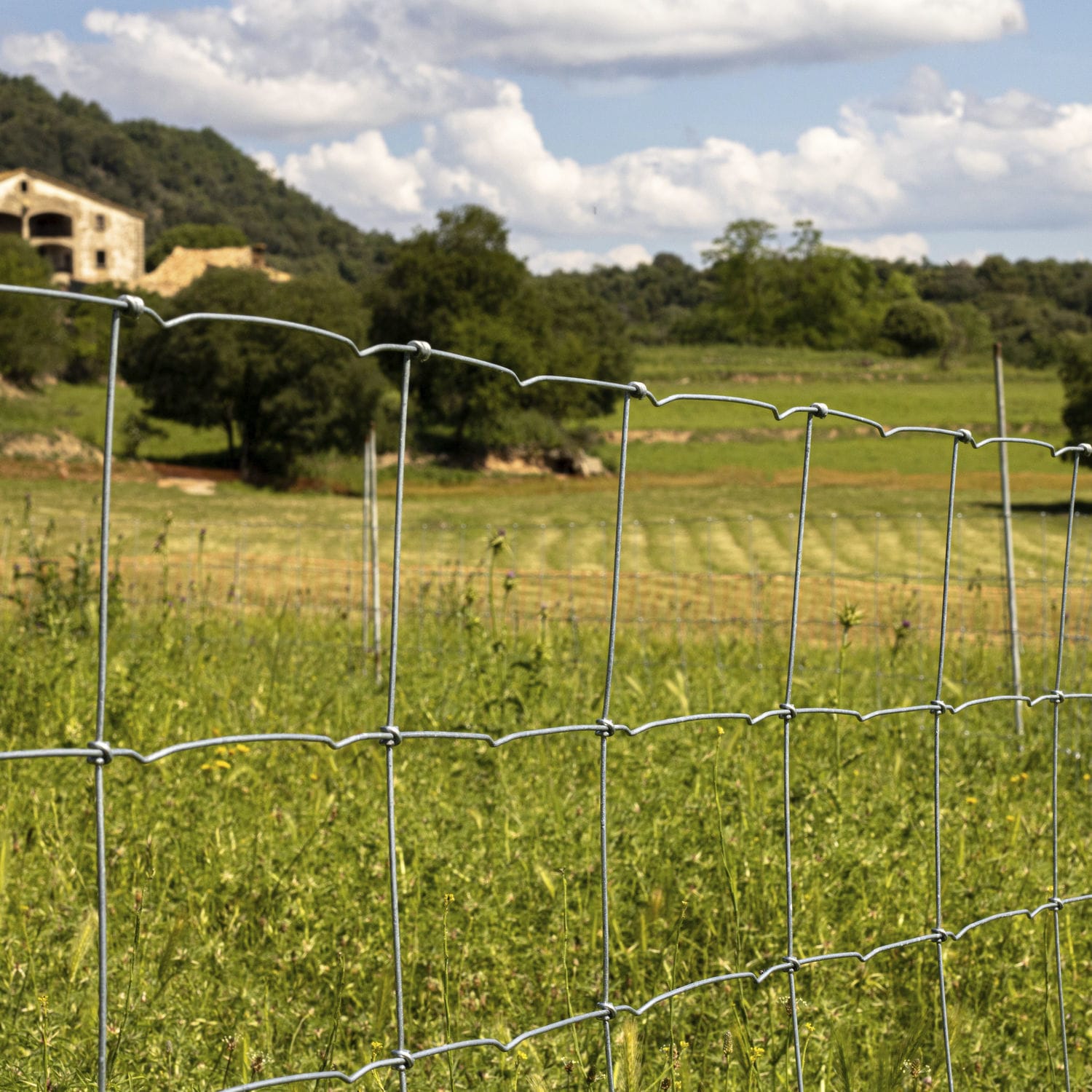 Galvanised steel wire mesh - XK MRT® - Moreda Riviere Trefilerías - for ...