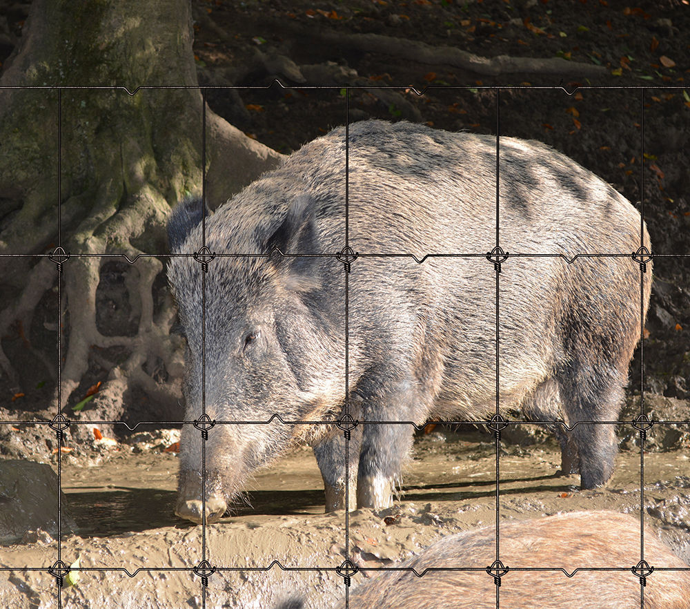 Galvanised steel wire mesh - FK MRT® - Moreda Riviere Trefilerías - for ...