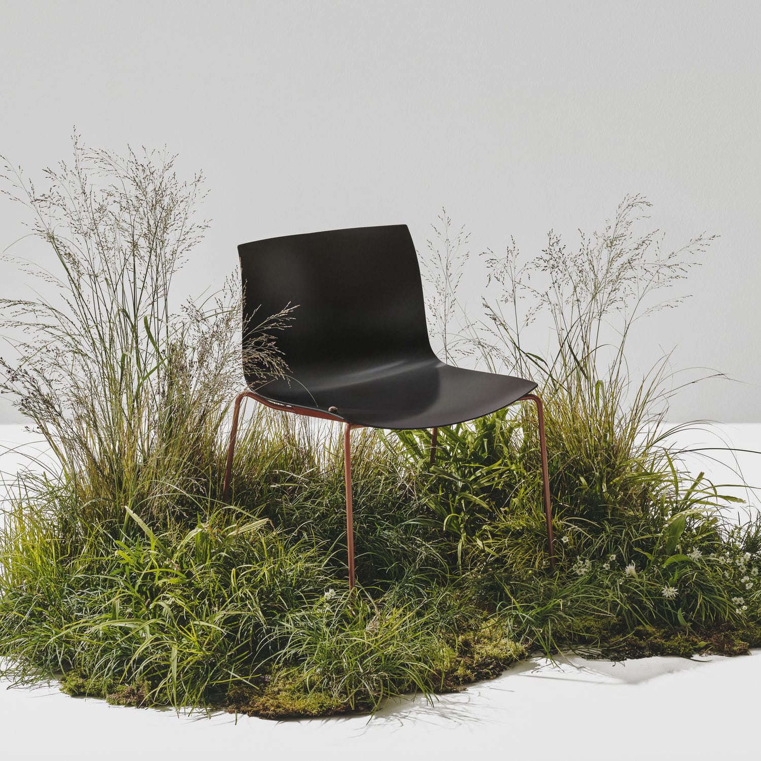 Contemporary chair - CATIFA CARTA - Arper - indoor / PaperShell / steel ...