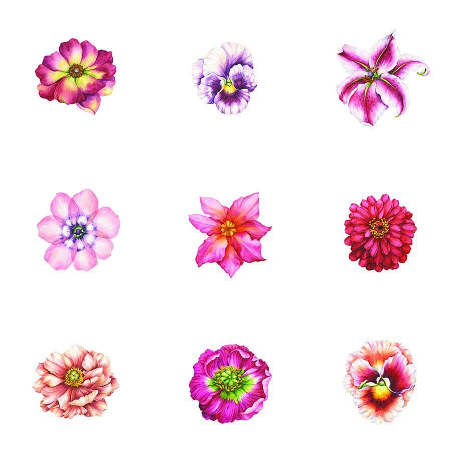 Polyester wall-covering - WALLFLOWERS - Design Tex - printed / fabric ...