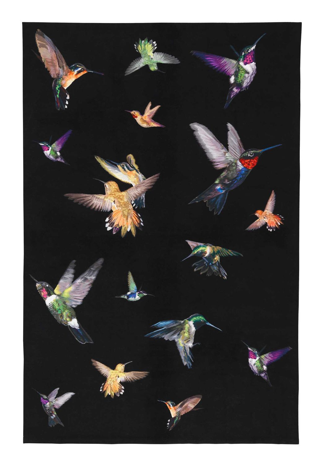 Contemporary rug - HUMMINGBIRD - The Rug Company - patterned / silk ...