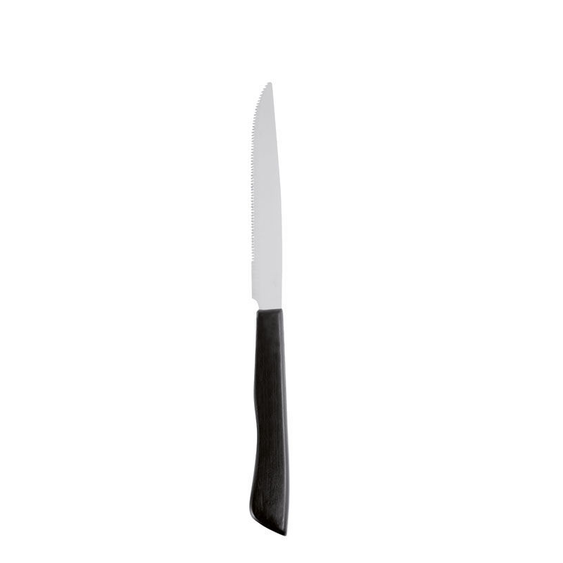 Steak knife with stainless steel blade - Zak : 351ZK/1 - EME POSATERIE ...