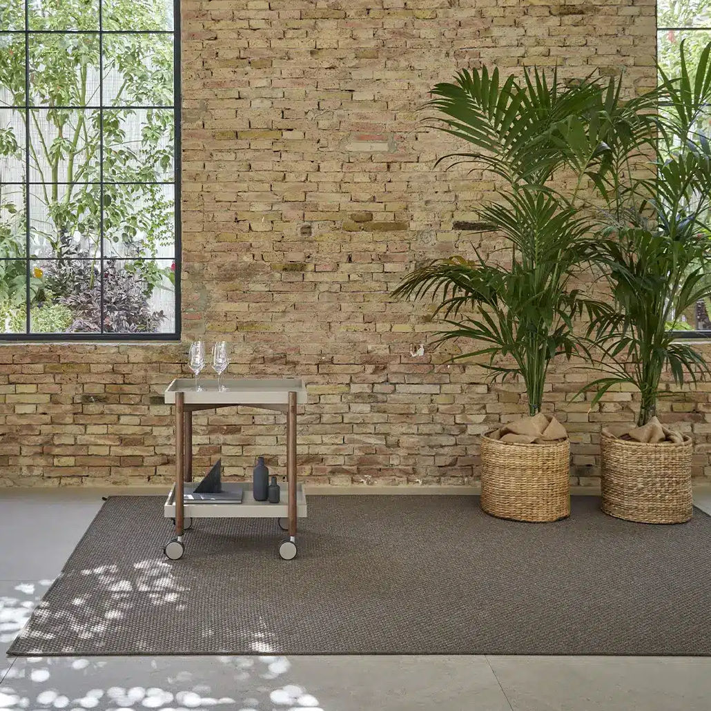 Contemporary rug - TERRA SAHARA NUT - Rols Carpets - plain / PET ...