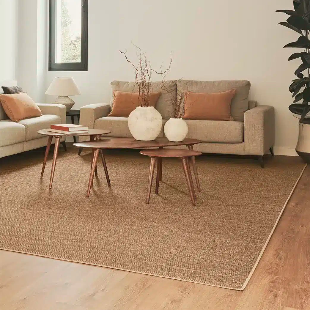 Contemporary rug - PALMA ICON CLAY - Rols Carpets - plain ...