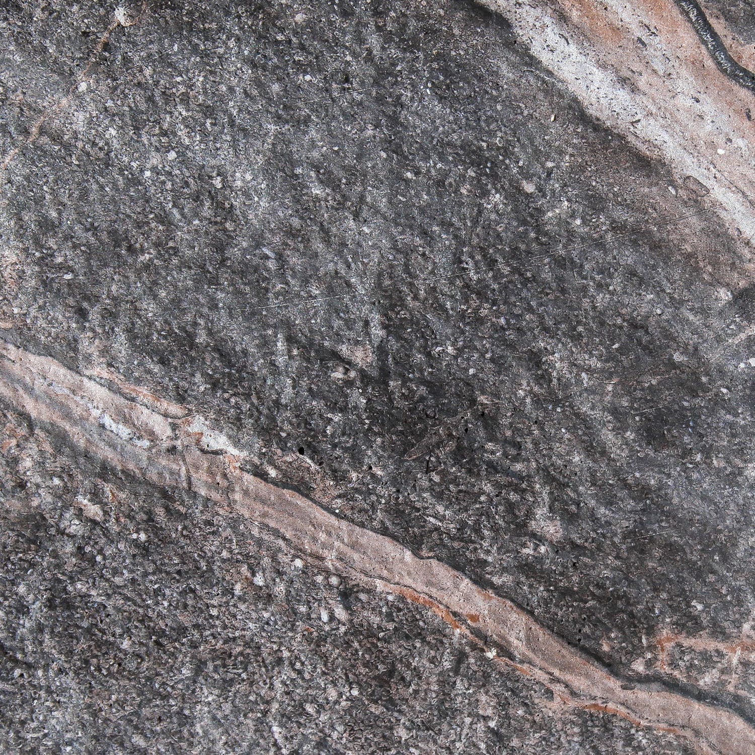 Granite look tile - FLAMED SESAME - PHOMI - modified clay / smooth / 3D