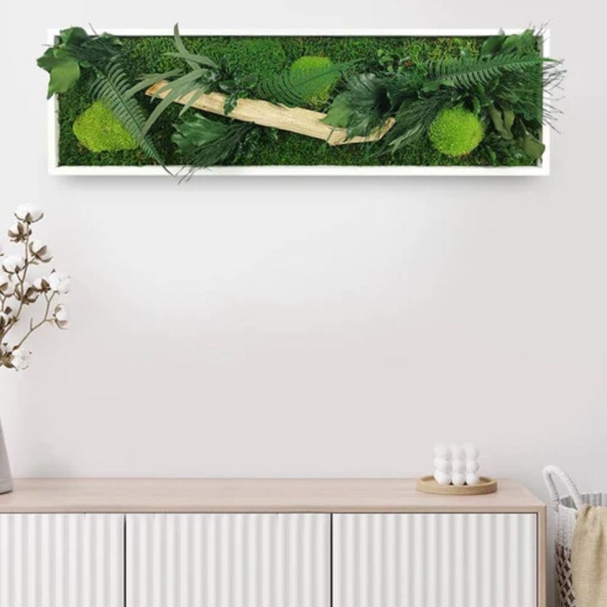 Preserved living frame - 20x70 - naturall green - foliage / natural ...