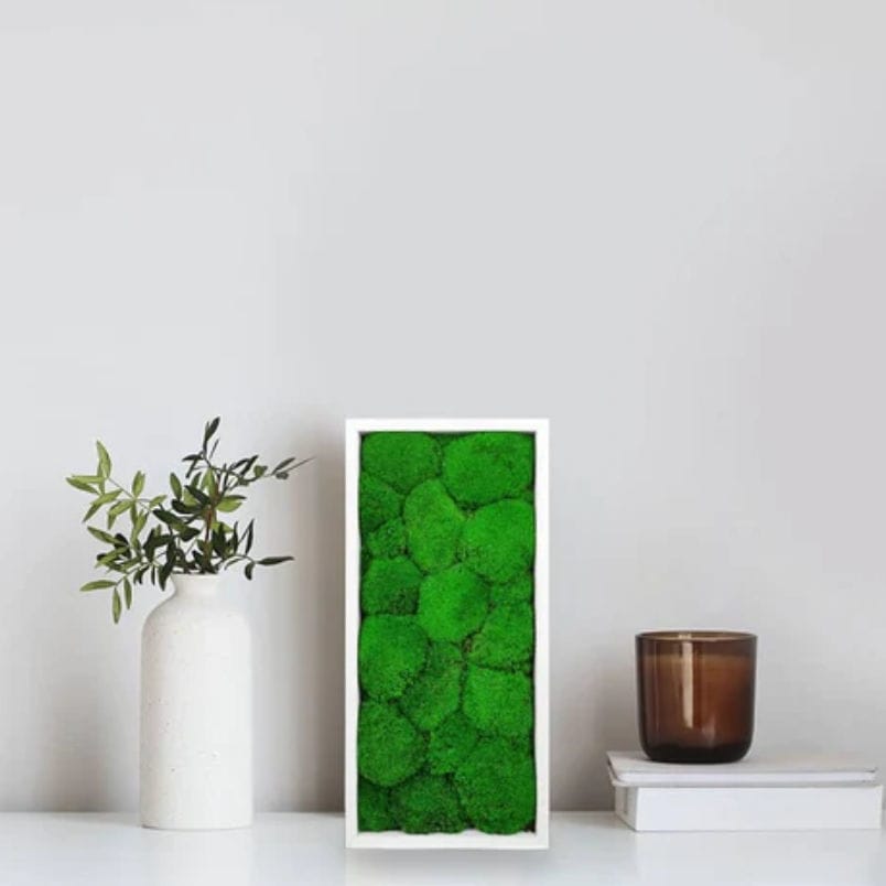 Preserved living frame - STABILIZED 18X38 - naturall green - moss ...