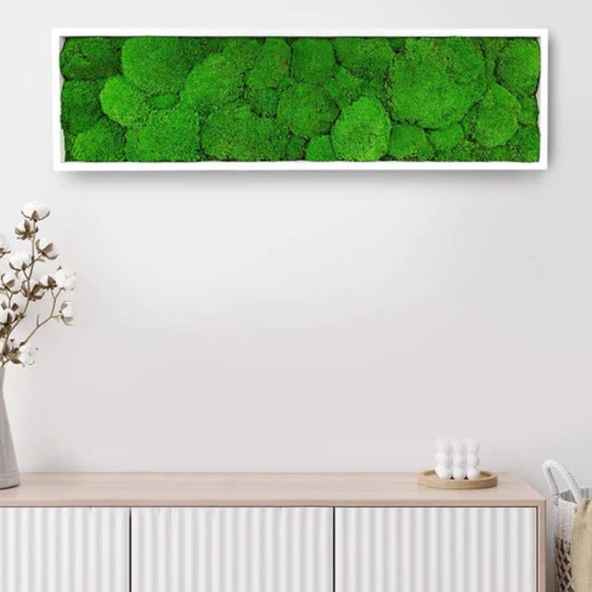 Preserved living frame - STABILIZED 20X70 - naturall green - moss ...