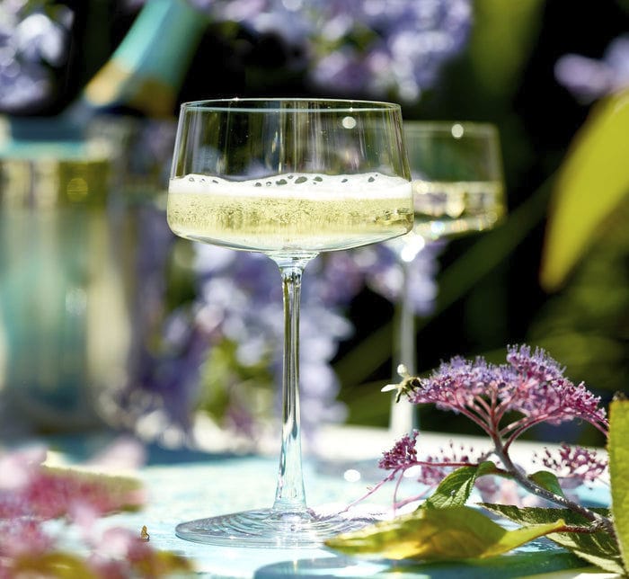 Glass champagne flute - Power: 1590008-1 - STOELZLE LAUSITZ GMBH ...