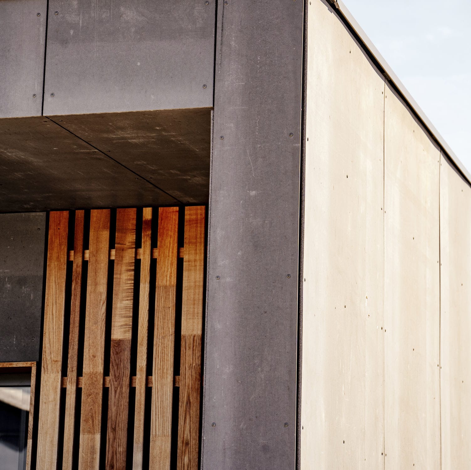 Strip cladding - MISTRAL PANELS - ash / vertical / smooth