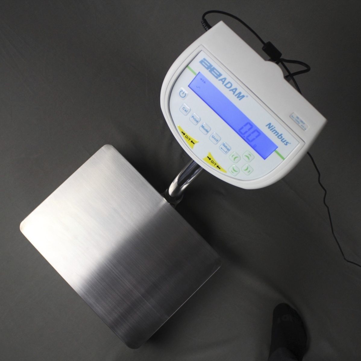 Commercial scale - NIMBUS® - ADAM EQUIPMENT - digital