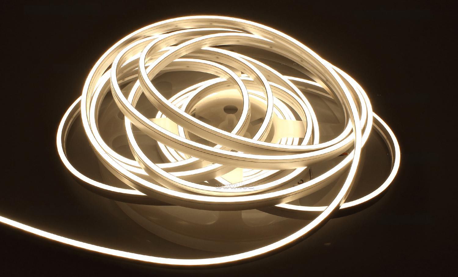 Flexible LED light strip - NE4x8LT-300-120821-5 - Ledpoint