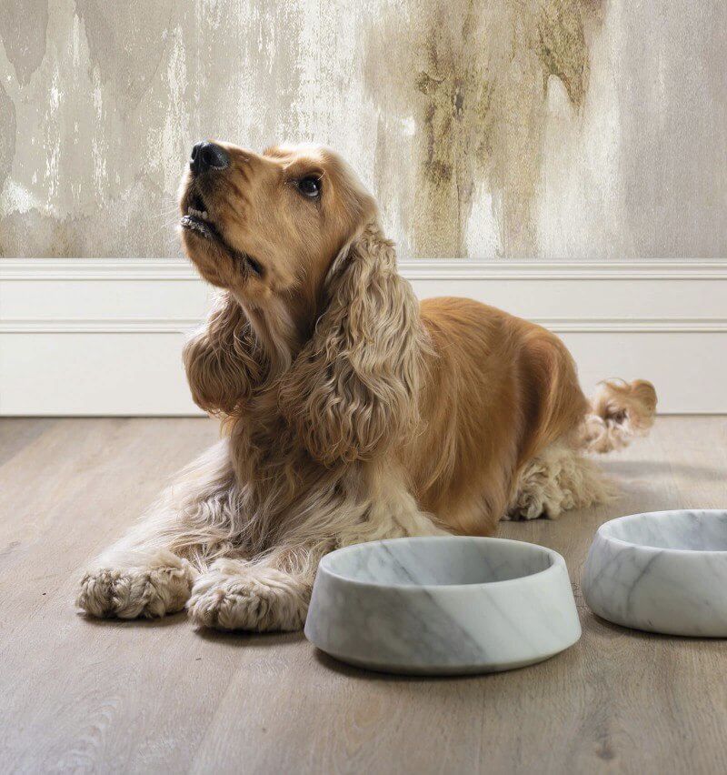 Marble dog bowl - Ciotola Gems Medium - LABILLA - Carrara marble / gray ...