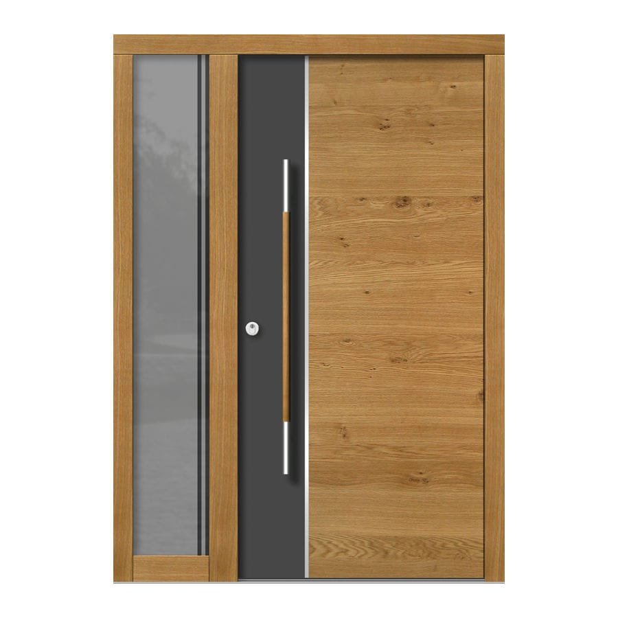 Entry door - H102E+ST - DOORS, d.o.o. - wooden / swing / contemporary